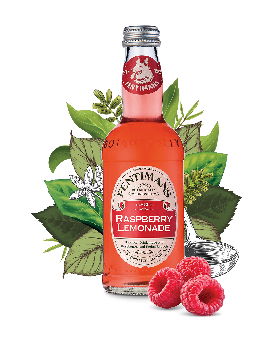 Luxury Lemonades – Fentimans