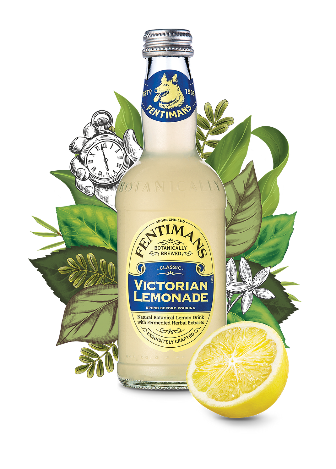 Luxury Lemonades – Fentimans