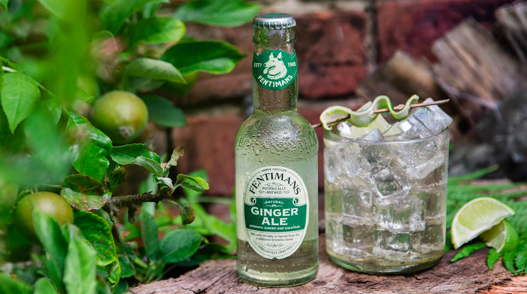 Ginger Ale – Fentimans