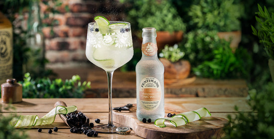 Products – Fentimans